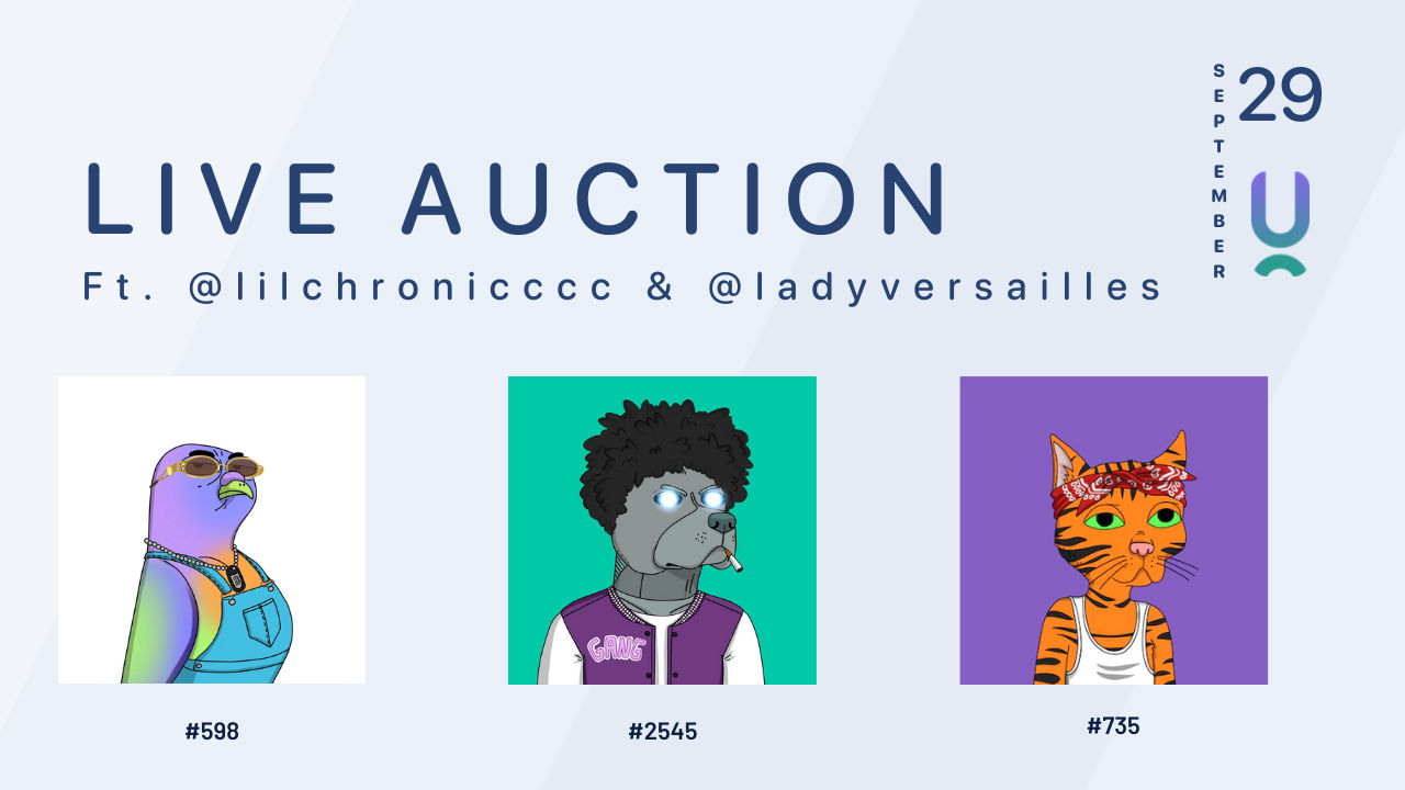 Grail - Live NFT auctions